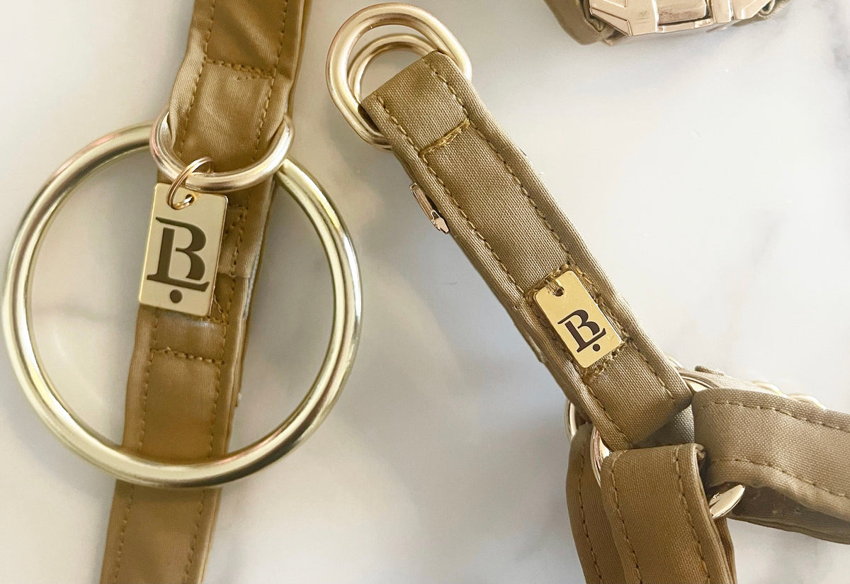 The Signature Collection – Bashe London