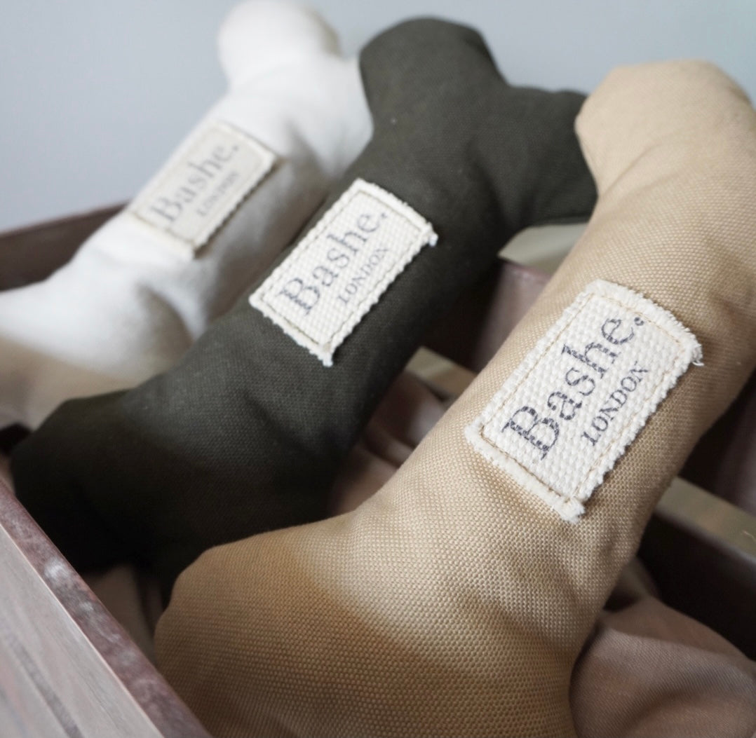 Canvas Bones – Bashe London