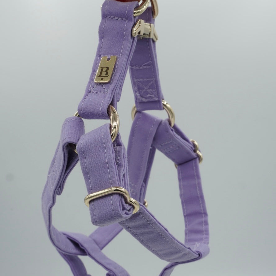 Harness in Lavender Purple, Gold hardware – Bashe London